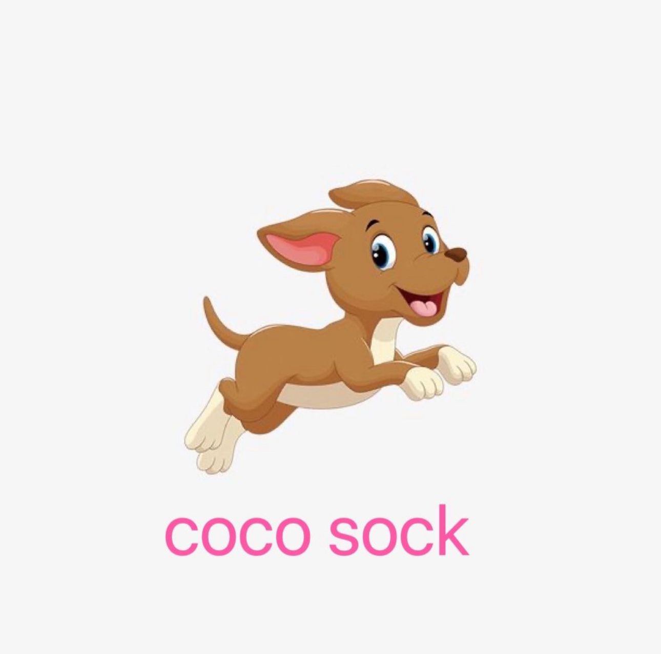 COCO MODA, COCO SOCKS – Intermoda